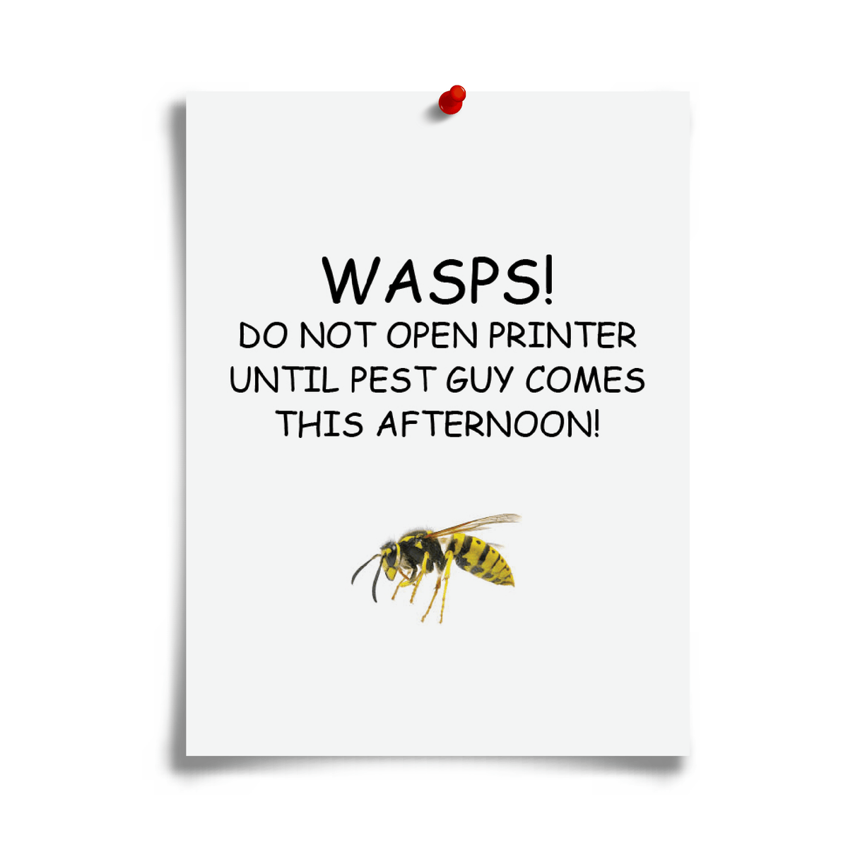 Printer Wasps Joke Office Flyer | Prank-O Joke Gifts